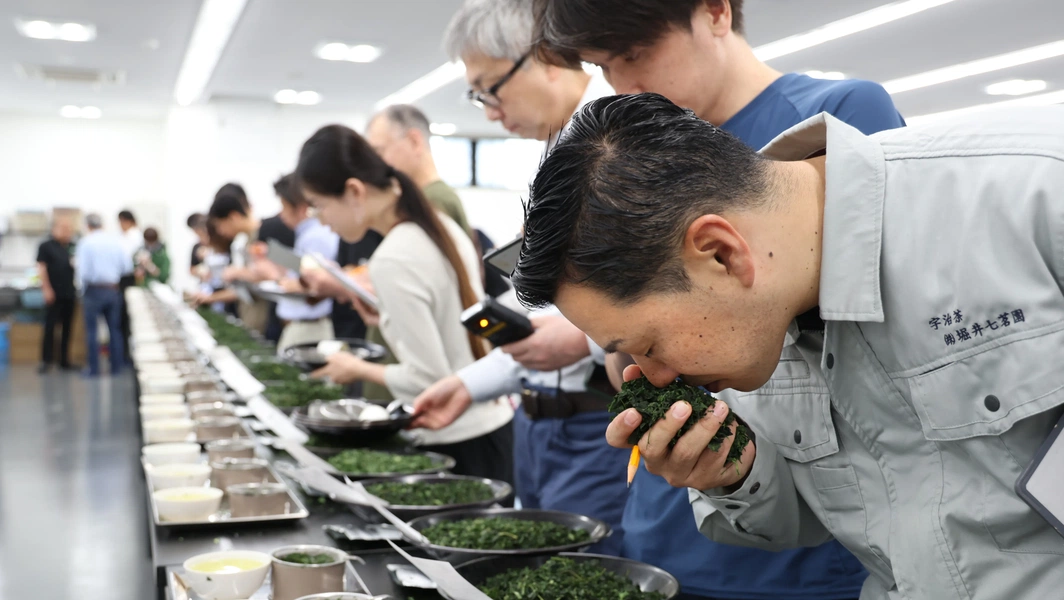Matcha magic from tradition to trend