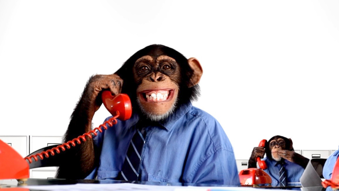 Chimps and babies share a sign-language-like communication, study finds
