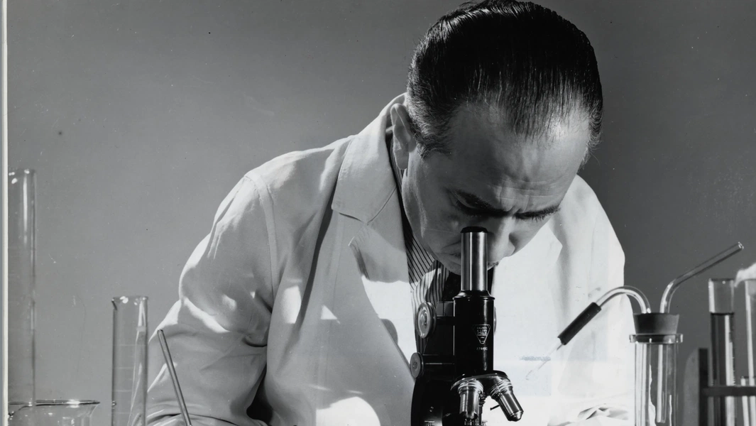 14 striking images showcasing science and discovery