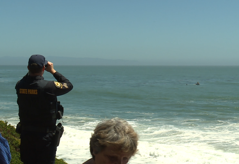 Dangerous beach conditions prompt back-to-back water rescues in Santa ...