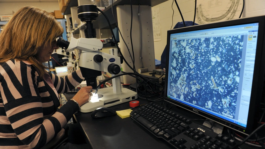 Why microbes might just save our planet