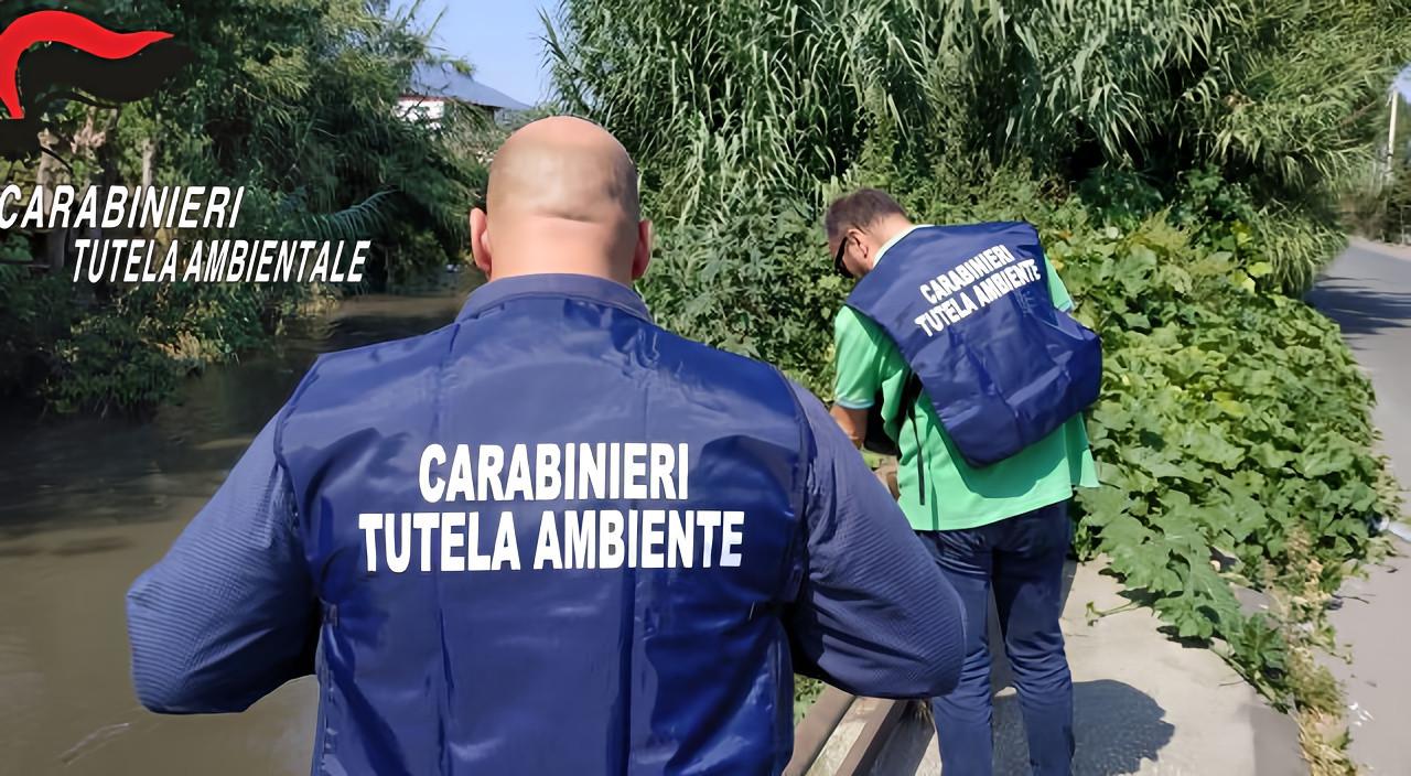 Ricicleria, soldi per smaltire i rifiuti. Il Noe mette i sigilli alla ...