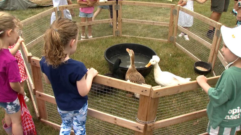 Kids get hands-on experience with farm animals at Columbus Metropolitan ...