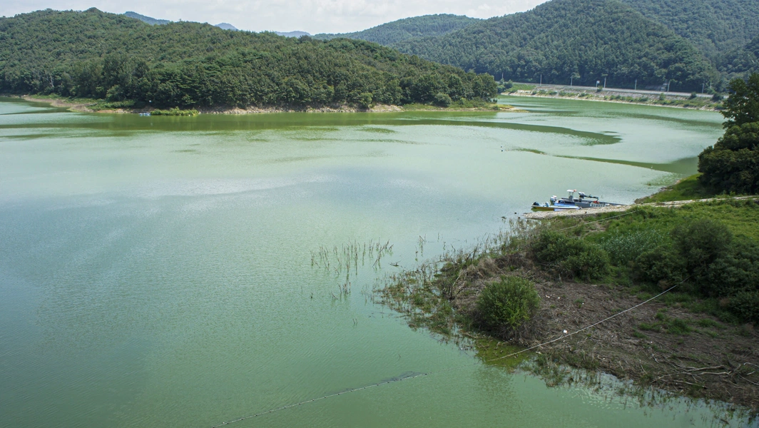 Why nitrogen is shaping our planet’s future