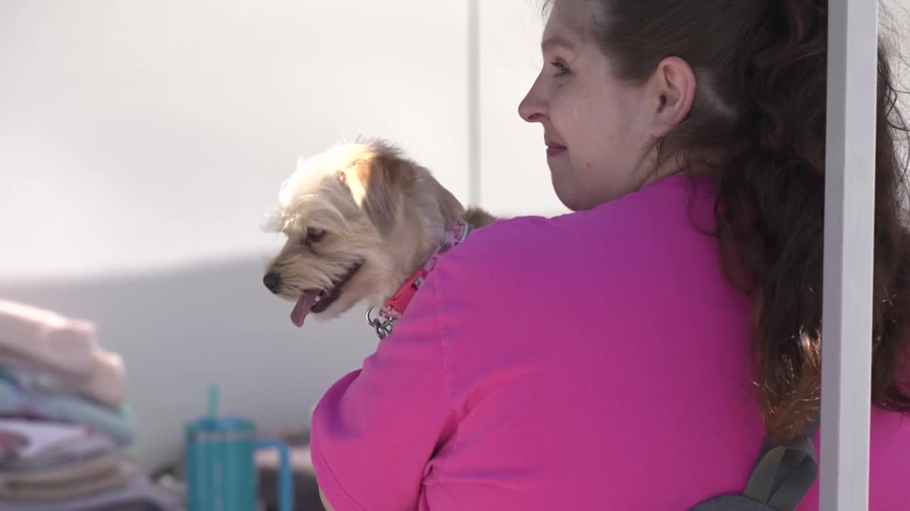 Mobile vet clinic brings affordable pet care to Kern County families