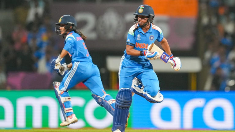 India will play fearless cricket at T20 World Cup: Harmanpreet before ...