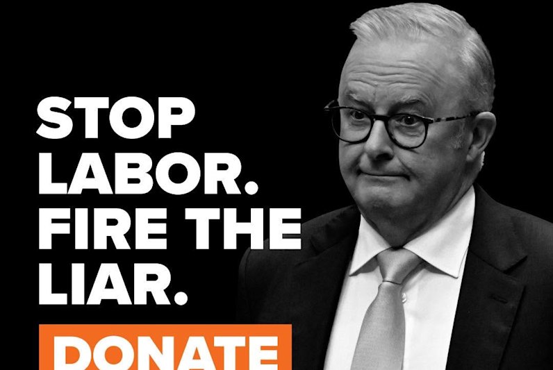 One Nation to audit $2 million donations after PM casts doubt
