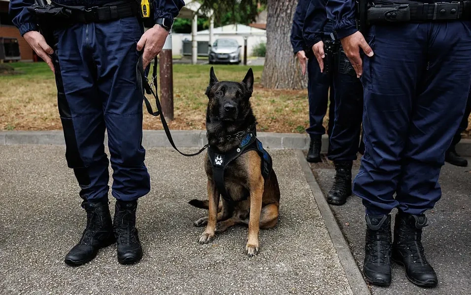 Inside the world of heroic police dogs