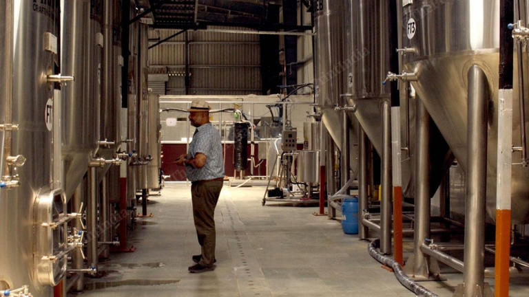 Lucknow gets its first mango winery. Malihabad is what Napa Valley is ...