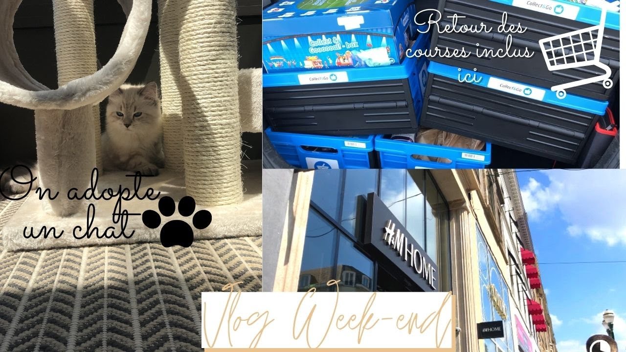 Un week-end cocooning entre courses haul déco et nouvelle adoption