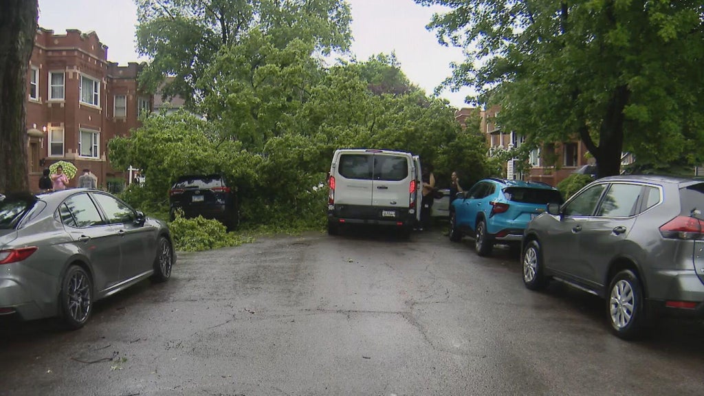 Massive tree falls on van full of kids in Portage Park during strong storms