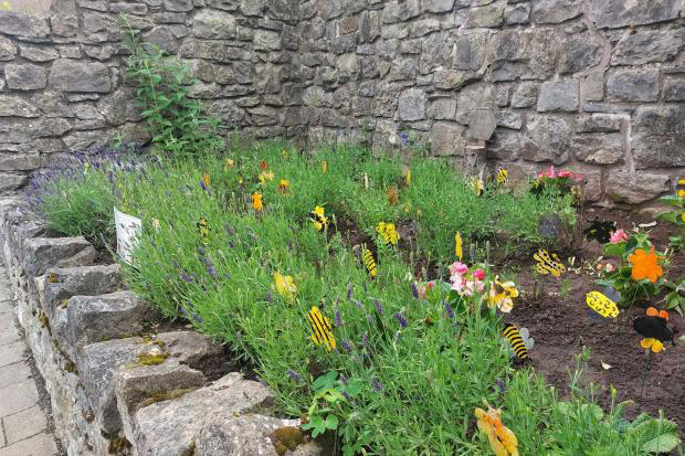 Children bring community garden to life in Furness with cute bee ...