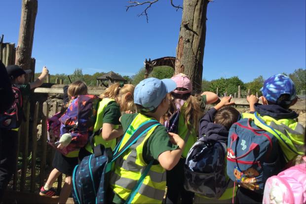 Bournemouth school pupils enjoy 'unforgettable' day out at Marwell Zoo