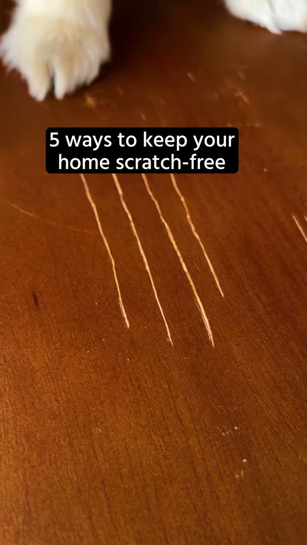 Say goodbye to scratches and hello to smooth living with these gadgets!