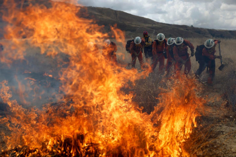 Female prison inmates battle wildfires on path to redemption: 'I'm here ...