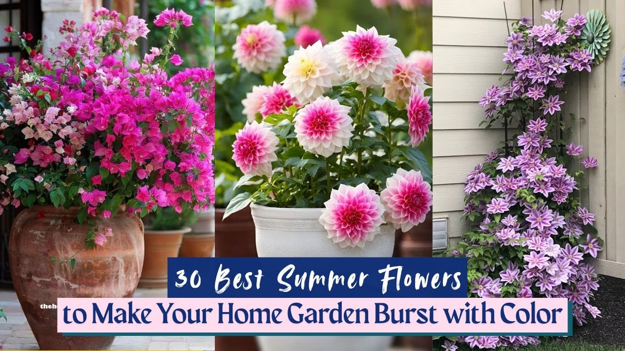 Summer flowers that make your garden burst with color