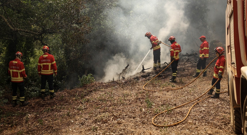 Dominado fogo numa área de mato em Odemira