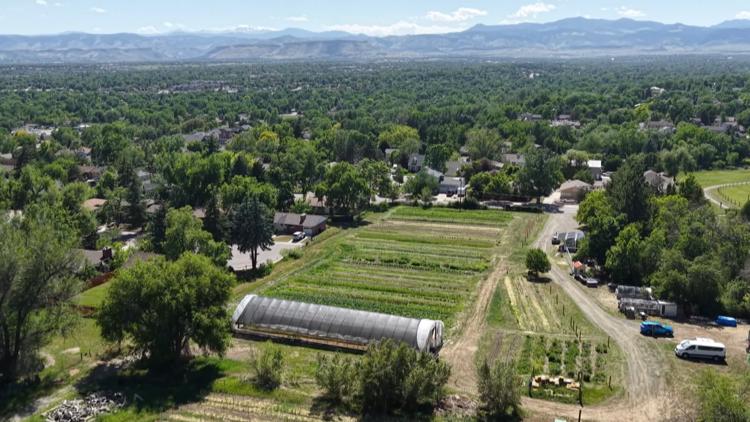 City of Arvada ends local farm's lease over safety violation