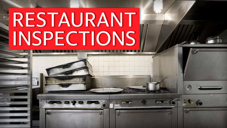 Moldy strawberries, bugs in food found in Dallas restaurant health ...