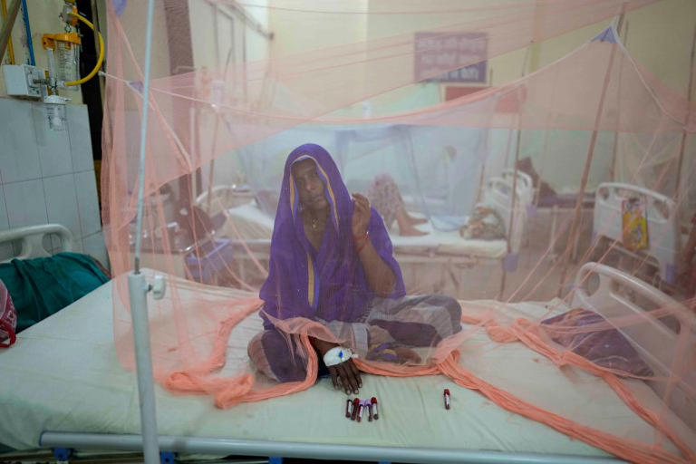 Why India’s deadly dengue crisis is now no longer confined to the monsoons