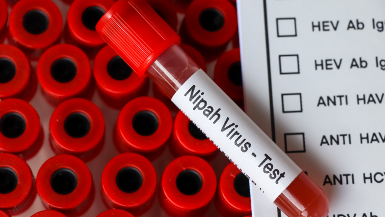 Kerala man tests positive for Nipah: Know all about the virus