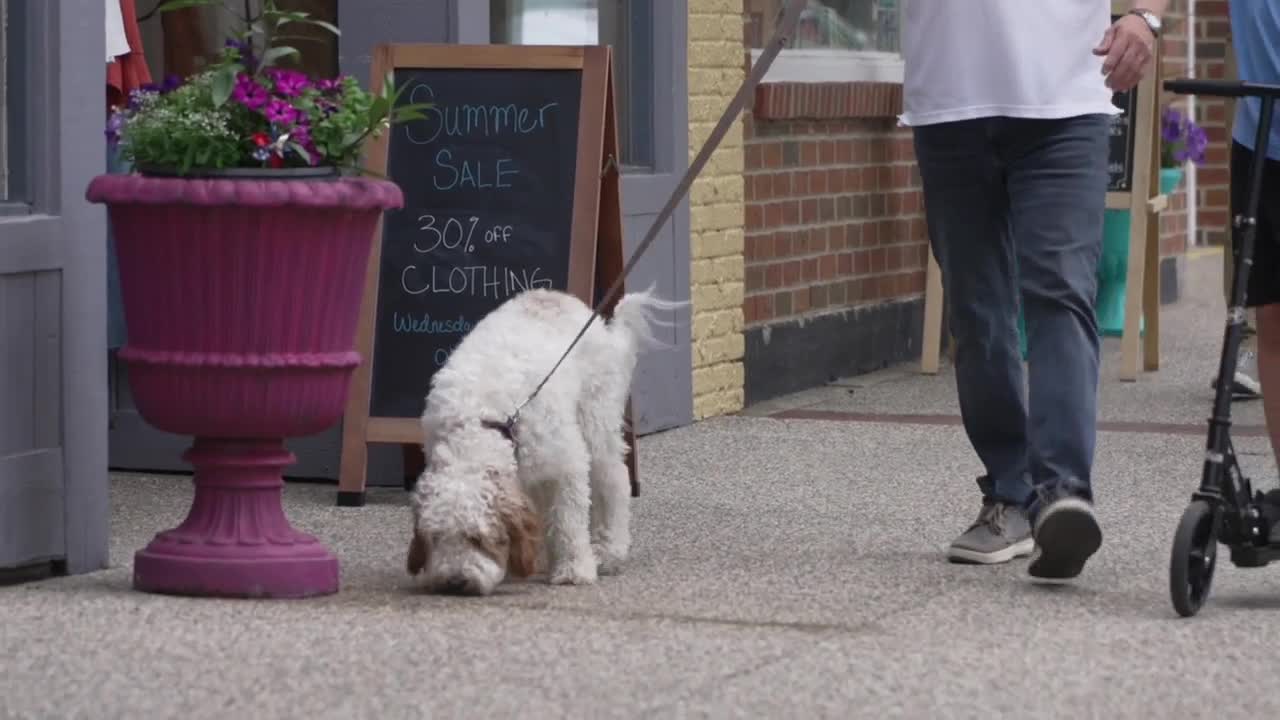 Doggie bag dispensers coming to downtown GH following business complaints