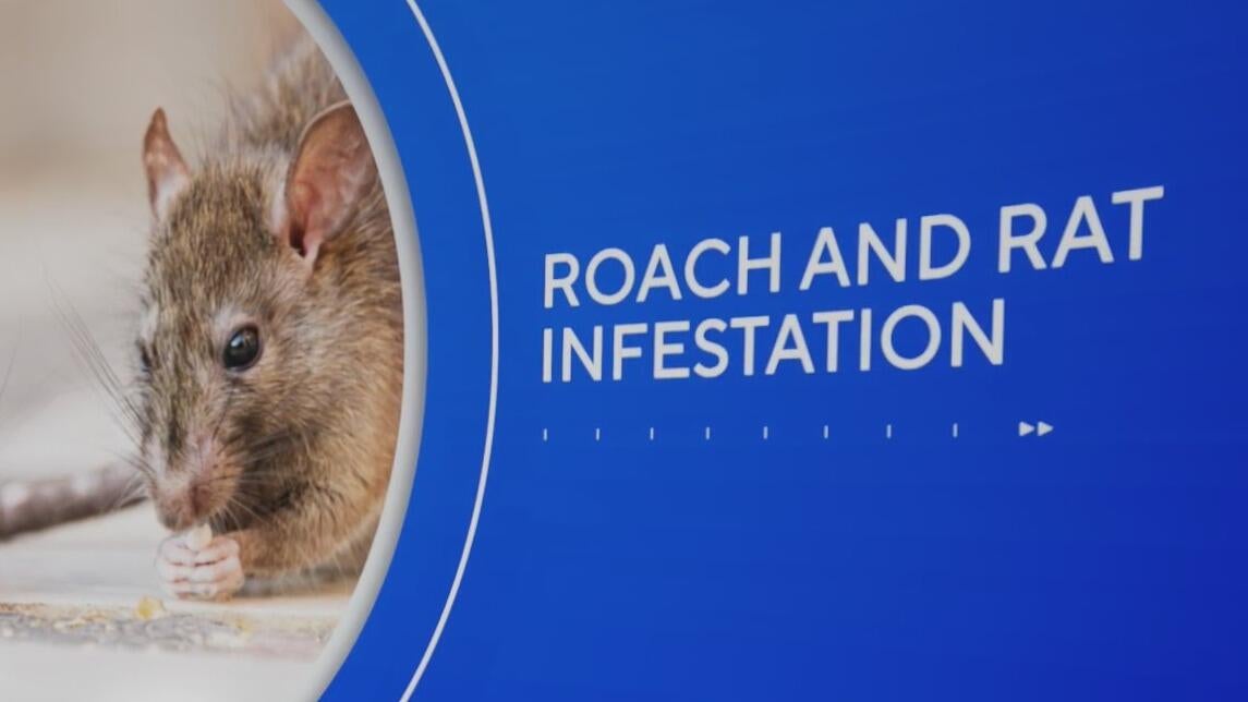 Georgia lawmakers urge IRS action over rat and cockroach infestation at ...
