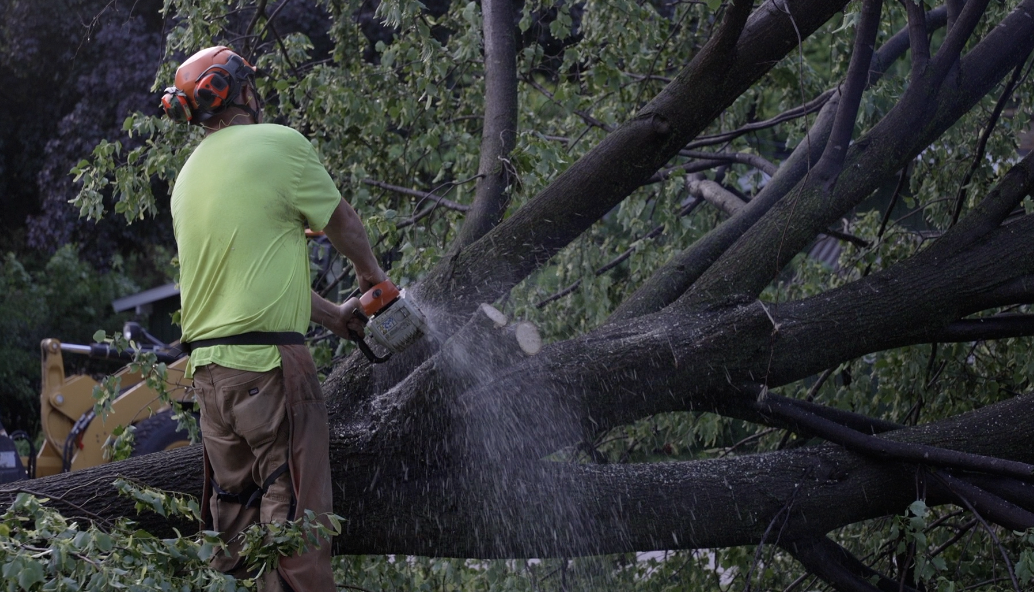 'Nature be crazy' Oshkosh cleans up after storm winds reach 94 mph
