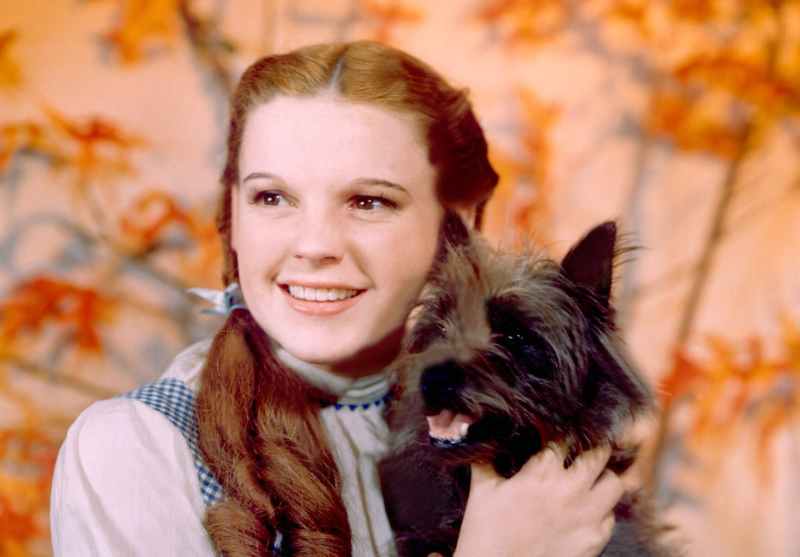 Remembering an icon: The sad truth behind Judy Garland's cause of death