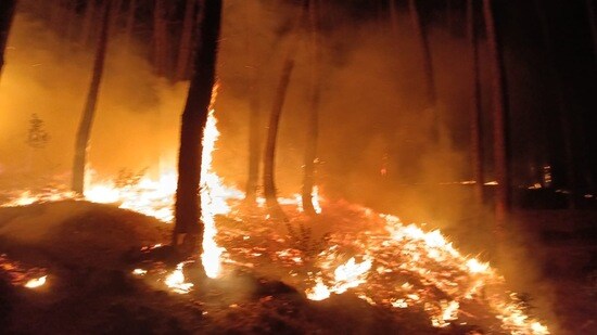 350 devotees rescued after forest fire near Nagrota temple in Himachal
