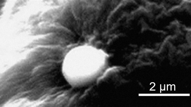 ＜QAで解説＞「セシウムボール」の拡散経路は?筑波大など研究