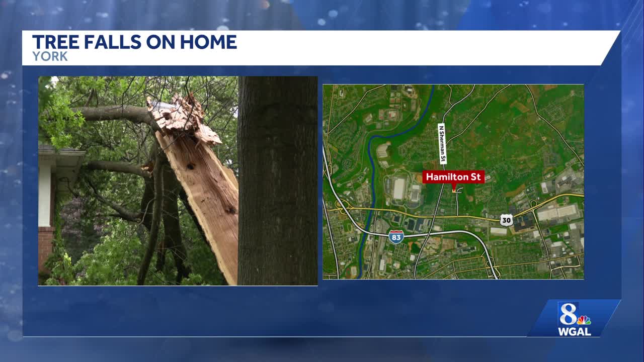 Tree falls on York home during severe storms