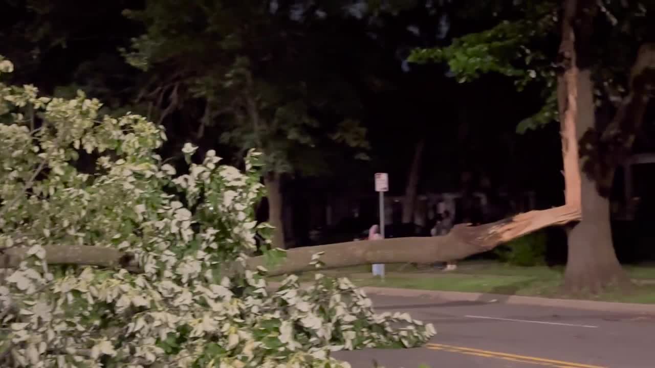 Fallen tree blocking the road at 54th, Rockhill in KCMO