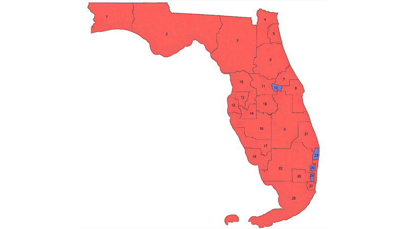 GOP Rep. Laurel Lee, Hillsborough Black Democratic leader discuss ...