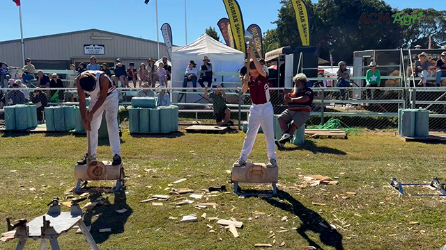 Brothers' grit and determination win hearts as emerging axemen in show ring