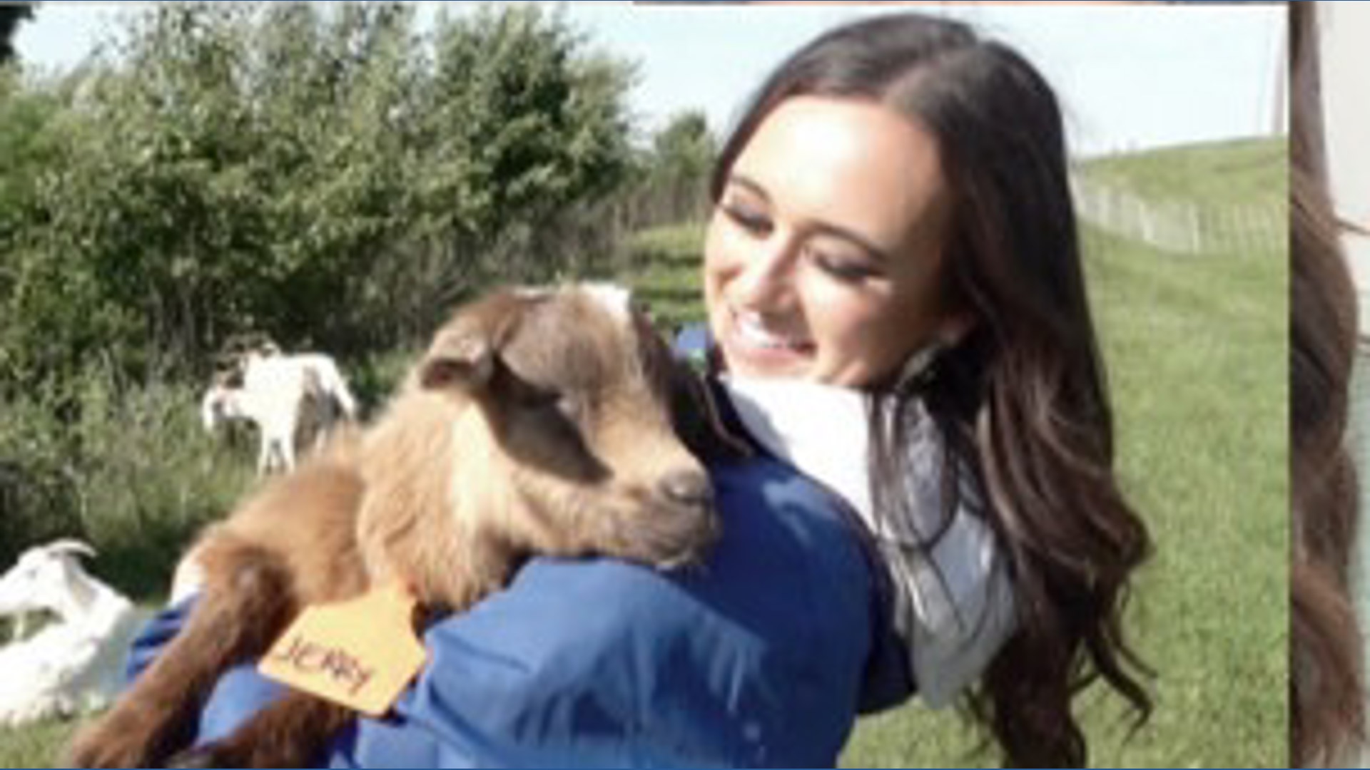 City employees union files grievance over goats clearing brush at ...