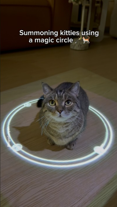 This is how cats are made