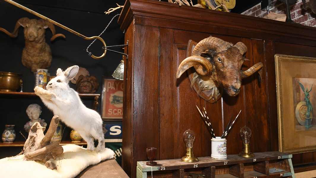 How to identify overpriced or fake antiques
