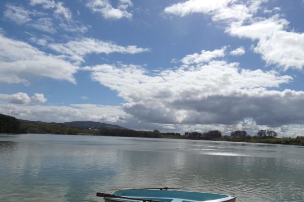 Reassurance after dead fish found at popular beauty spot