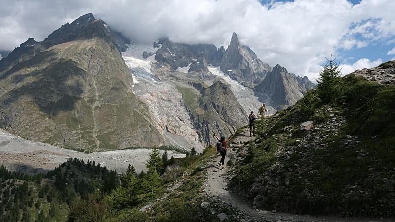 France adds 157,000 hectares of protected forest as nature preserves ...