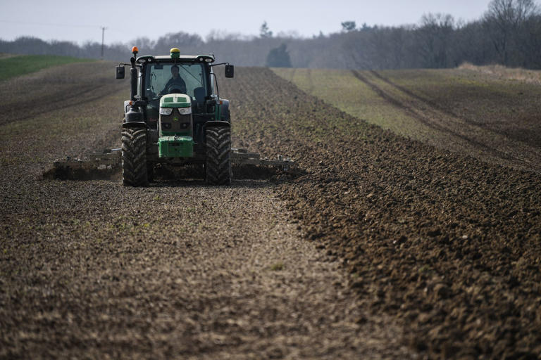 Shaping a better Future Farming Investment Scheme for 2026