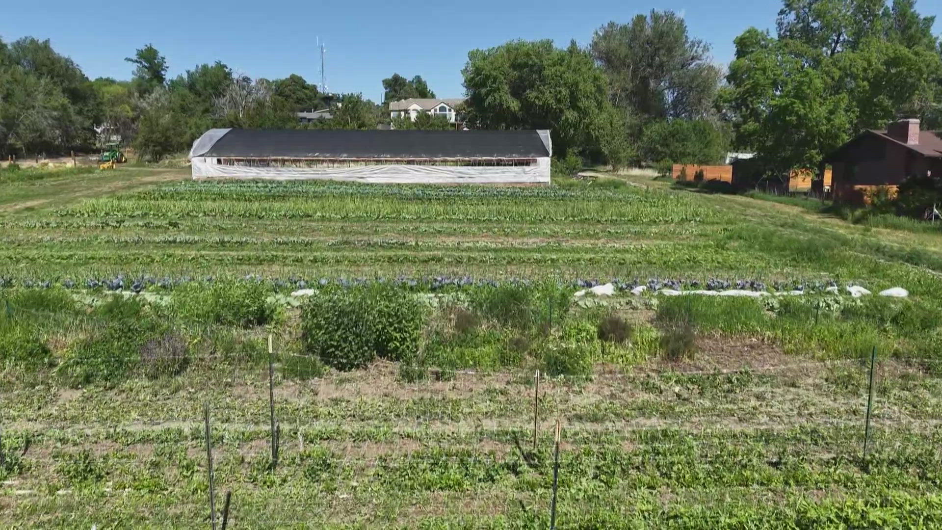 Latest headlines | City of Arvada ending local farm's lease over safety ...
