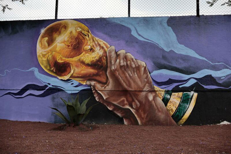 Who will win tonight's World Cup opener - Mexico or South Africa?