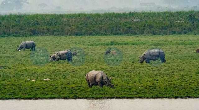 Threats to Kaziranga National Park: Land-use changes and mining activities