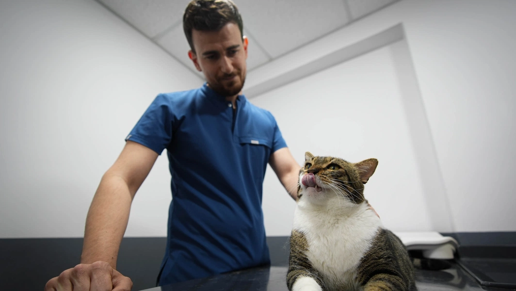 12 unforgettable and bizarre vet visit stories