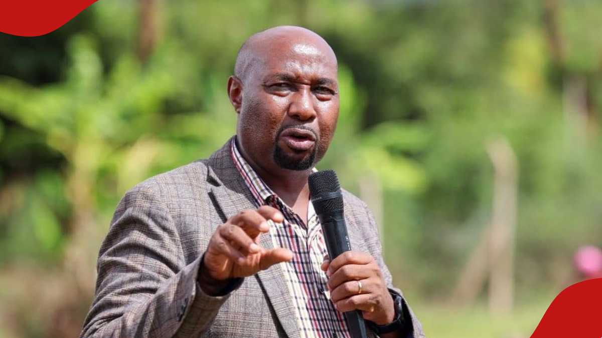 Makueni MCA Kyalo Mumo stuns netizens with flawless French during ...