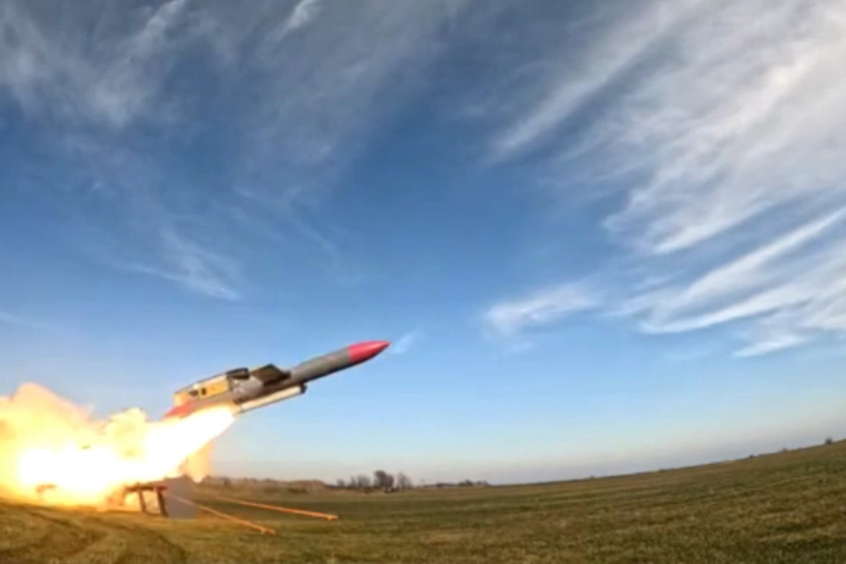 Ukraine uses Flamingo cruise missiles to attack Russian arms factory