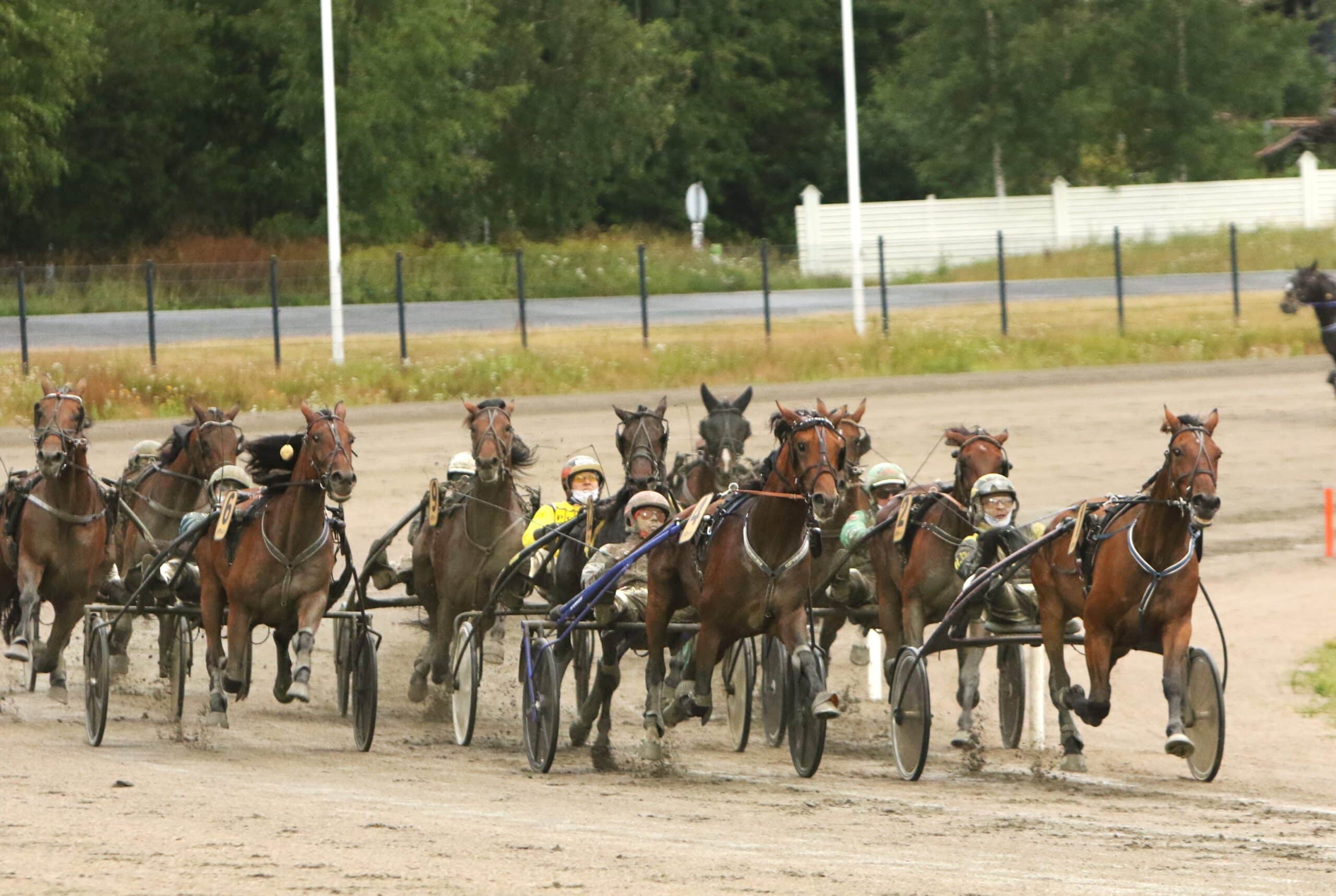 Päivän ravit: Amatööriohjastajien SM-liiga täyttää Toto5-kierrosta
