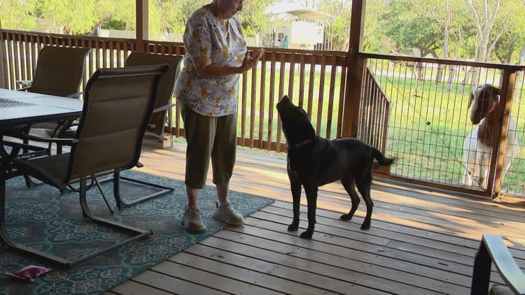 'I was shocked:' New screwworm case triggers quarantine zone in ...