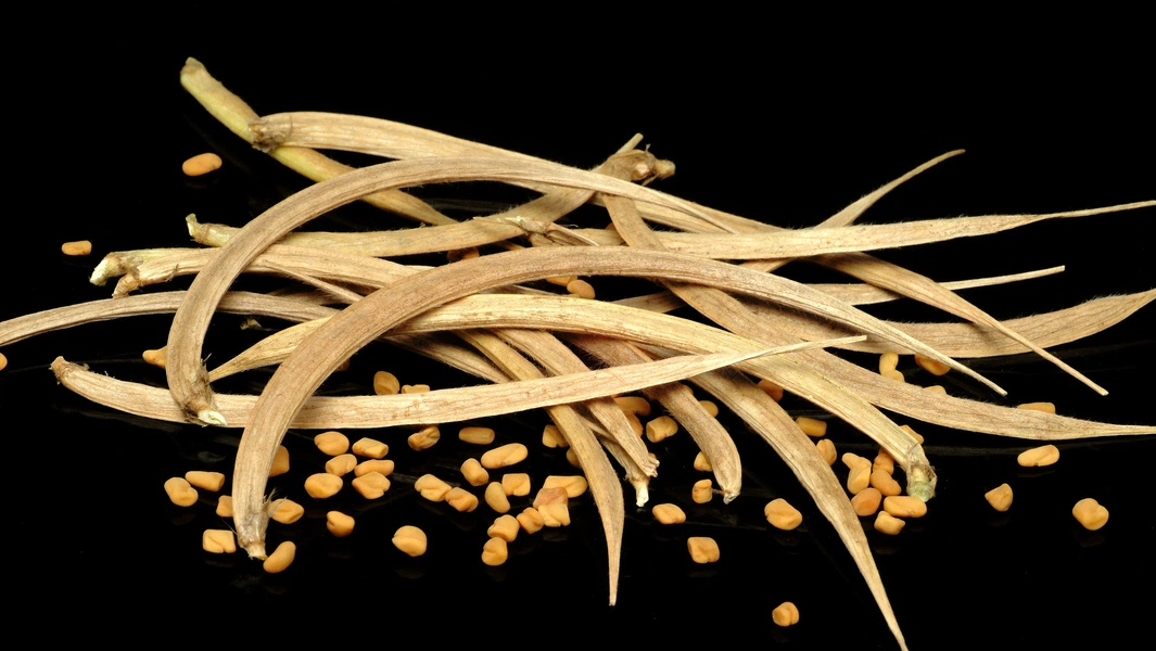 Why fenugreek flatbreads are a Gujarati love story